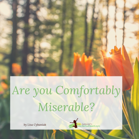 Are You Comfortably Miserable? - Life, Like You Mean It!